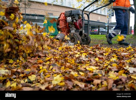 Close Up Of An Industrial Leaf Blower Blowing Leaves At The Camera As