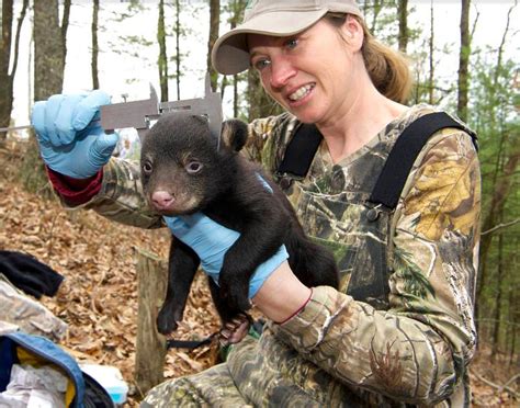 Best Bear Cub Images On Pholder Aww Nature Is Fucking Lit And Eyebleach