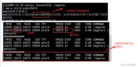 【linux】进程控制（wait 和 waitpid）的理解和使用 ret wait csdn博客