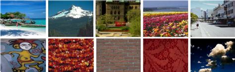example images from the two datasets used in our experiments first