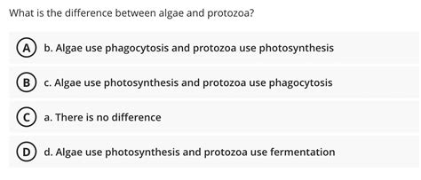 Solved What Is The Difference Between Algae And Protozoa B