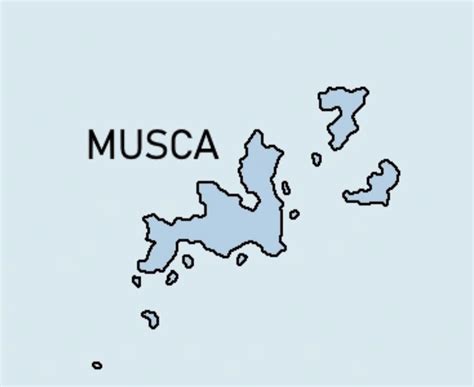 Musca Dead Ahead Wiki Fandom