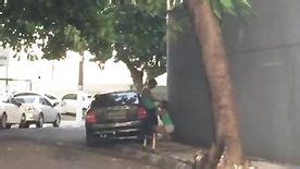 Flagra De Sexo No Carnaval Cnn Amador