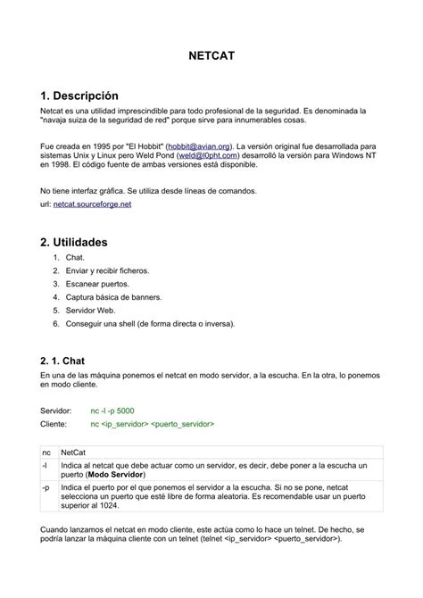 pdf de programación manual netcat