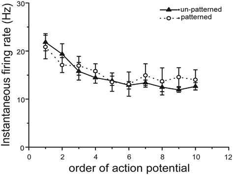 Firing Patterns In Un Patterned And Patterned Neurons Data Download Scientific Diagram