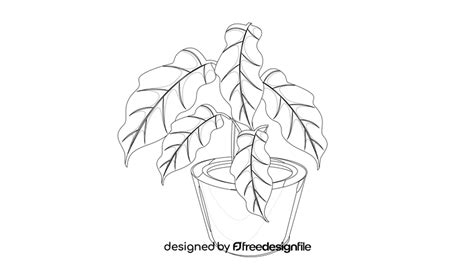 Plant Black And White Clipart Free Download