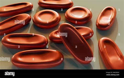 3d Rendering Of Elliptocytes Also Known As Ovalocytes Or Cigar Cells Are Abnormally Shaped Red