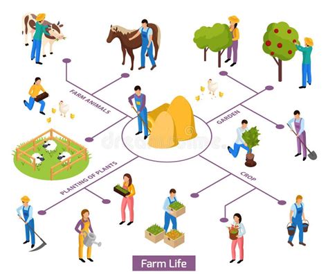 Farmery Isometric Flowchart Composition Stock Vector Illustration Of