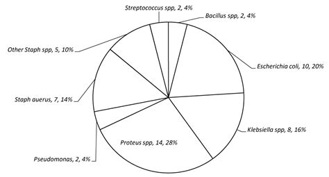 Antibiogram Pattern Of Potential Pathogenic Bacteria Associated With