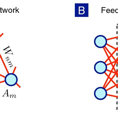 neurons with different network structures a recurrent neuronal