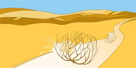 Tumbleweed Illustrations Royalty Free Vector Graphics And Clip Art Istock