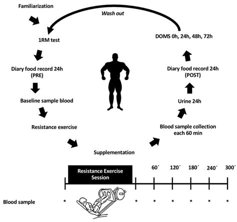 Protocol Used During The Experiment Period An Acute Randomized And