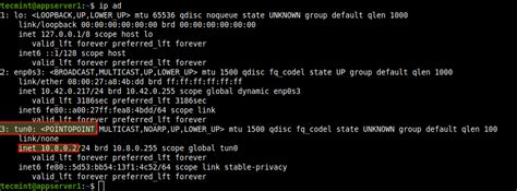How To Install Openvpn In Ubuntu 22 04 Ubuntu 20 04