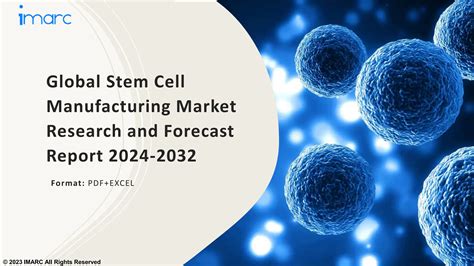 Stem Cell Manufacturing Market Ppt Overview Dynamics Trends Segmentation Application And