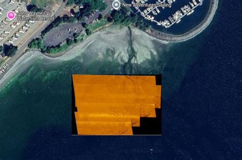 Mapping Seagrass With The Blueboat Omniscan Sidescan And The Washington Dnr Research Blue