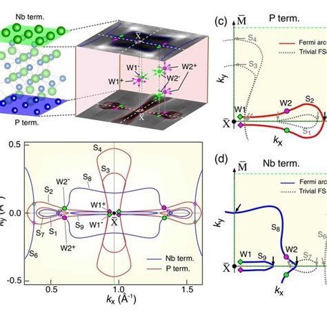 Color Online A Schematic Picture Of The Dirac Cone And Fermi Arc
