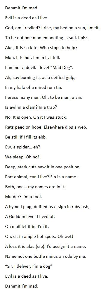 Super Long Palindrome Word Sentences Words Sentences