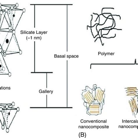 3 Schematic Representation Of A Silicate Layer Basal Plane And Download Scientific Diagram