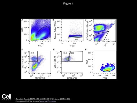 Adult Mouse Liver Contains Two Distinct Populations Of Cholangiocytes