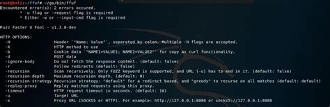 Top Example Usage Of Ffuf Web Fuzzer All About Testing