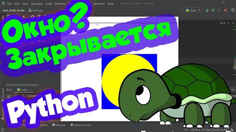 Как сделать чтобы окно черепашки Turtle не закрывалось после выполнения программы Youtube