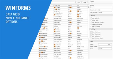 winforms data grid new find panel options v19 1 ctp