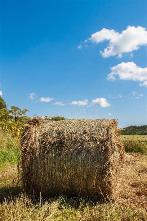 Landscape Panoramic Haystack Stock Image Image Of Countryside Land
