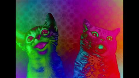 Preview 2 Numa Cat 2022 V4 Effects - YouTube