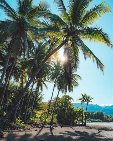 Best Things To Do In Uvita Costa Rica Hungariandreamers