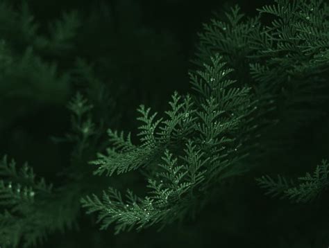 Sql Sequence Data Analysis A Practical Guide