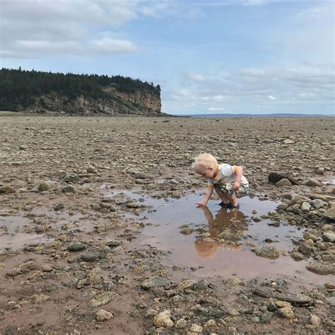 Discovering Wonders In The Bay Of Fundy Landsby