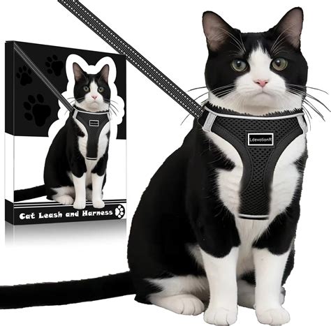 Ldevotionr Cat Leash And Harness Cat Harness And Leash Escape Proof For