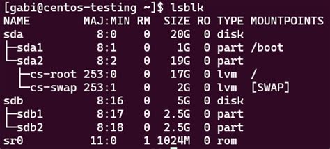 Creating Partitions And Mounting File Systems In Linux DEV Community