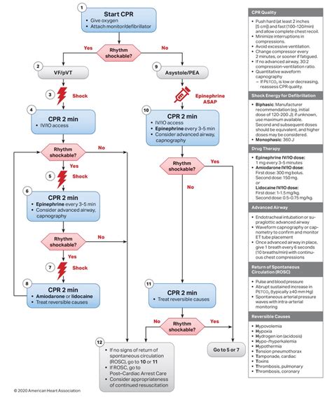 Cardiac Arrest Archives International Emergency Medicine Education