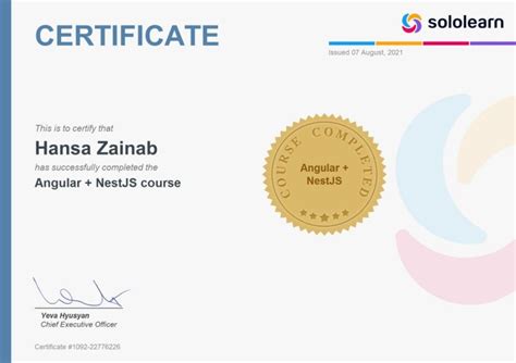 Sololearn Angular Nestjs Hansa Zainab
