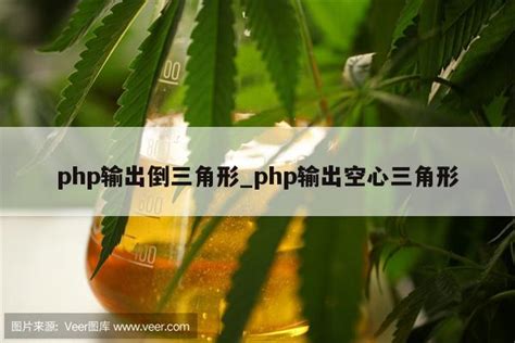 php输出倒三角形 php输出空心三角形 陕西卓智工作室