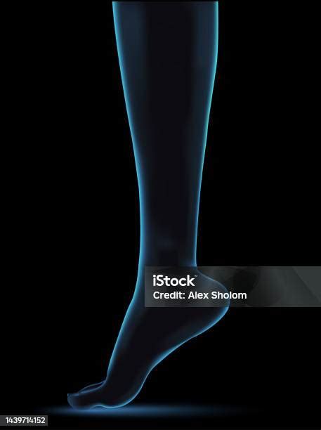 벡터 인간의 발 파란 윤곽선과 고통의 붉은 반점 의학 및 정형 외과를위한 준비 요소 발에 대한 스톡 벡터 아트 및 기타 이미지