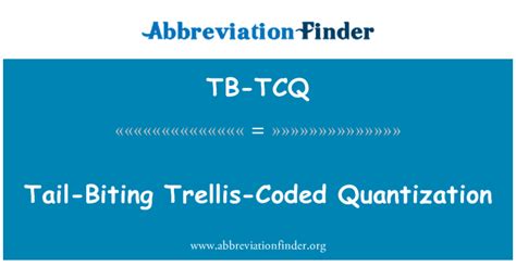คำจำกัดความของ Tb Tcq เสียดสีหาง Quantization รหัสตะแกรงลวดหนา Tail