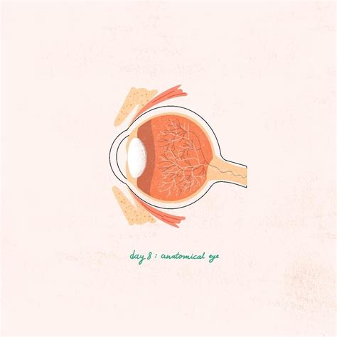 Drawing Is Important Class Skillshare Student Project