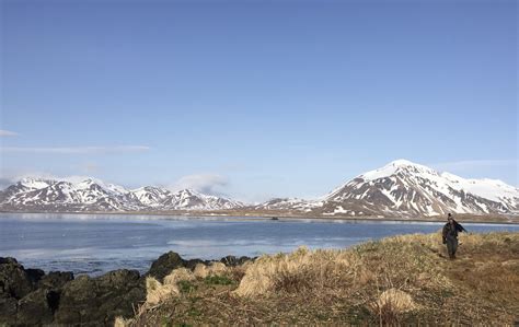 Attu Birding Trips