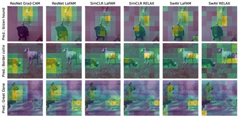 saliency maps comparison for scenes with two distinct objects