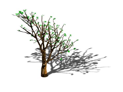 Treegenerator Gallery