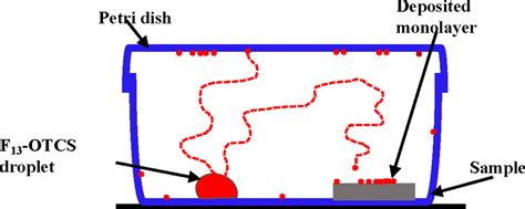 The Self Assembled Monolayer Sam Using A Natural Convection Download Scientific Diagram