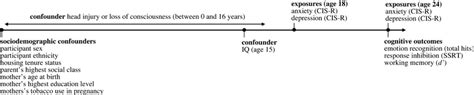 Timeline Of Variables Used In The Prospective And Cross Sectional