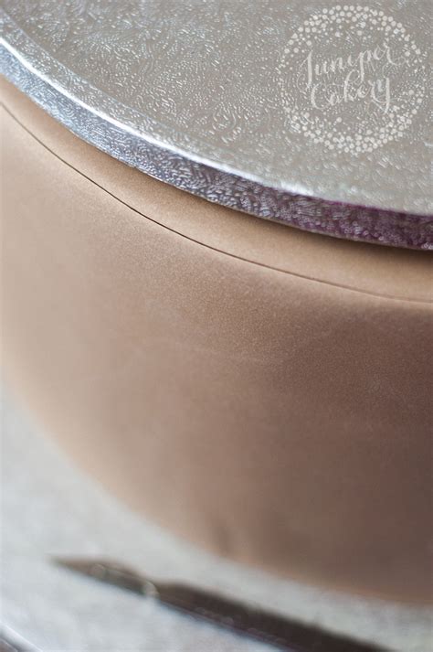 Really Nice Recipes Every Hour Be One With Nature With This Easy Tree Bark Cake