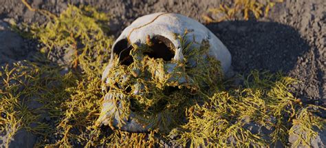 Oktopo Remesher V1 0 For Blender Gfxfather