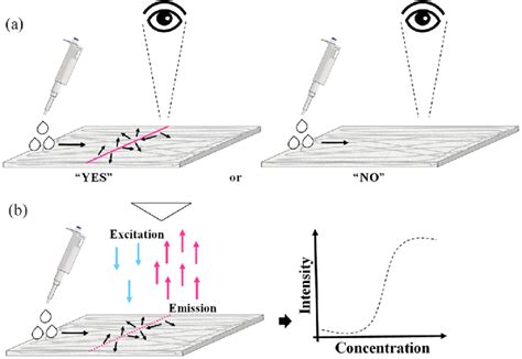 Schematic Depiction Of A A Colorimetric Analysis Process Carried Out