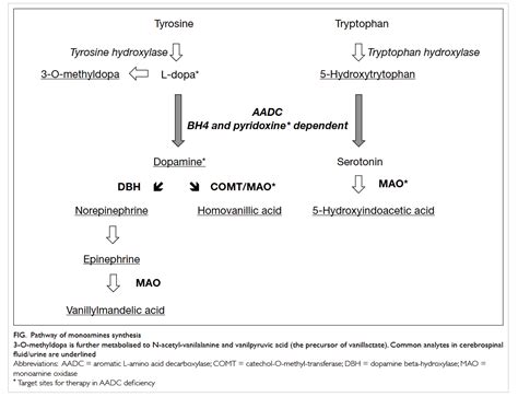 A Rare Cause Of Severe Diarrhoea Diagnosed By Urine Metabolic Screening