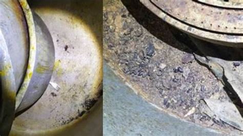 Central Kitchen Fined After ‘widespread Cockroach Infestation Found In